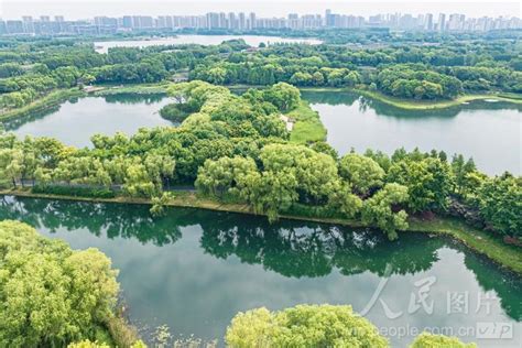 江苏苏州湿地公园美如画 人民图片网