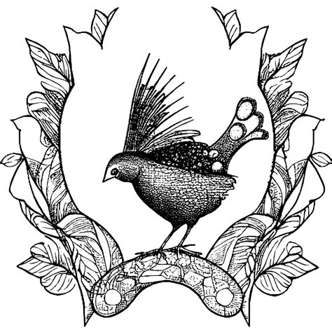 Peacock Graphic · Creative Fabrica