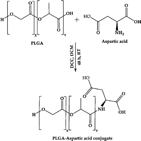Synthetic Scheme Of Plga Aspartic Acid Conjugate Download Scientific