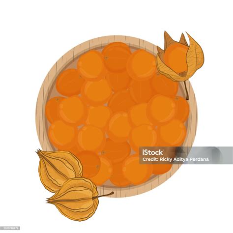 평면도 Superfood Physalis Peruviana 골든 베리 과일 0명에 대한 스톡 벡터 아트 및 기타 이미지 0명