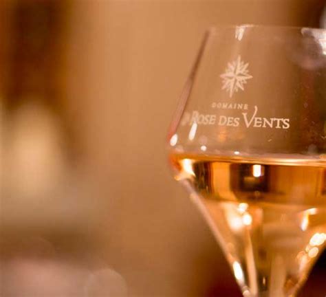 Domaine La Rose Des Vents Cash Vin