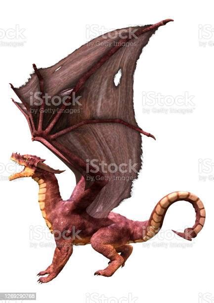 흰색에 3d 일러스트 판타지 드래곤 0명에 대한 스톡 사진 및 기타 이미지 0명 3차원 형태 경외감 Istock