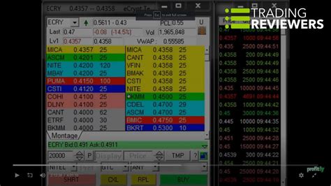 Tim Grittani Trading Tickers Dvd Review