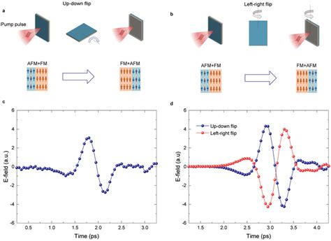The Thz Radiation Is Related To The Spin‐to‐charge Conversion Ab Download Scientific Diagram