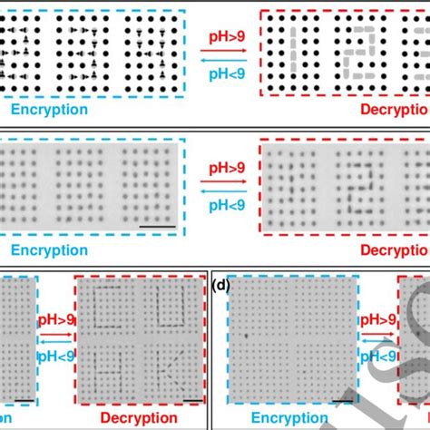 Applications Of Janus Microactuators In Information Encryption