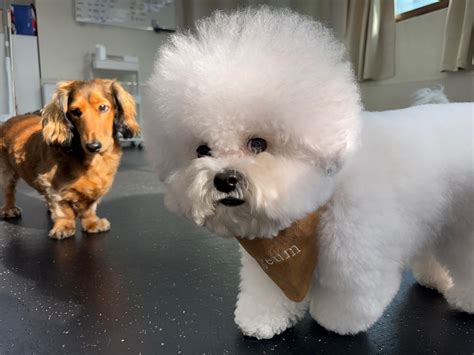 소은이동생 소금이나는 얼짱 고소금이다 흰자 많이쓰는 편 👀🤍 Instagram