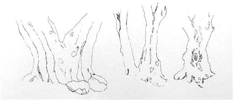 How To Draw Realistic Trees With Pen Ink Artofit