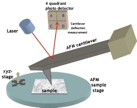 1 Schematic View Of Basic Afm Operation 66 67 Download