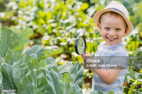 여름 방학 모자를 쓴 작은 아이가 돋보기로 나뭇잎을 바라본다 미취학 아동은 돋보기로 자연을 연구합니다 교육 견학 연구 개념 2 3 살에 대한 스톡 사진 및 기타 이미지