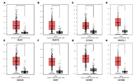 Figure 1 From Identification And Analysis Of Potential Key Genes Associated With Hepatocellular