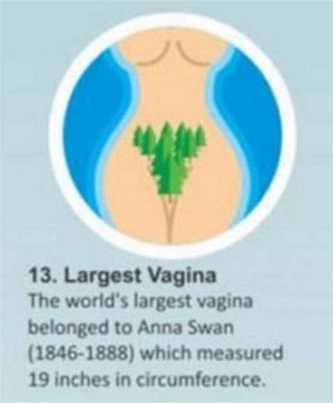 16 Intriguing Sex Records 16 Photos Klykercom