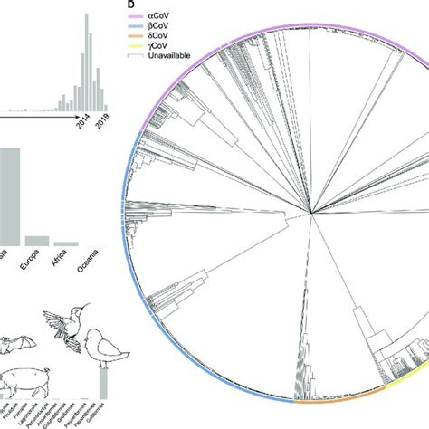 Whole Genome Nucleotide Sequences And Phylogeny Of Global Covs