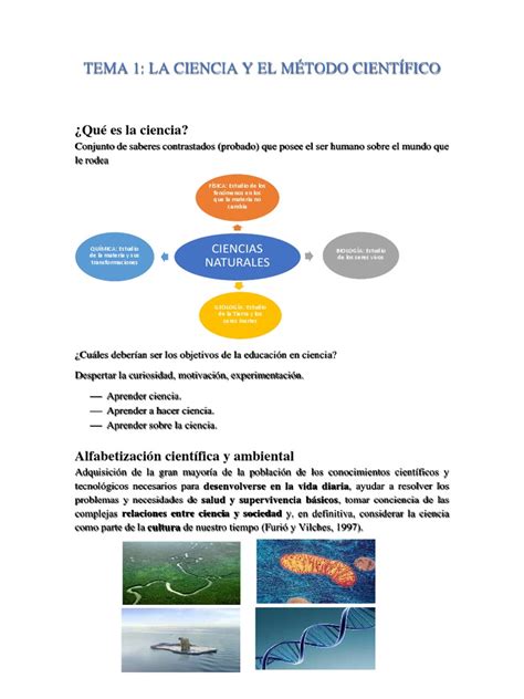 Tema 1 Método Científico Pdf Hipótesis Experimentar