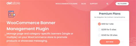 10 Best Wordpress Banner Plugins Without A Plugin Option