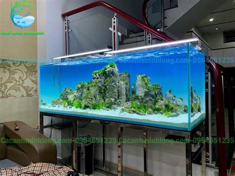 Mẫu Thủy Sinh Layout Đá