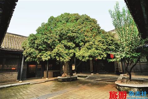 文章详情