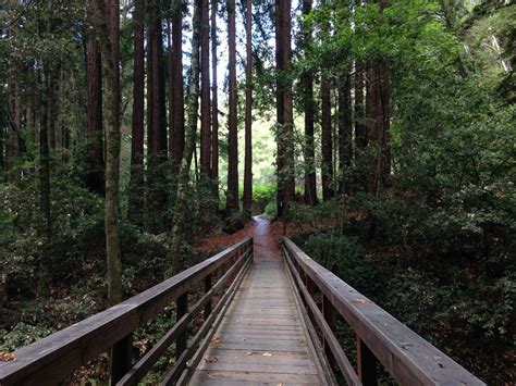Discover The Uc Santa Cruz Campus In Santa Cruz California Mount