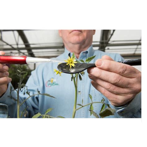 Electric Artificial Pollen Pollinator Propagation Collector Mimics The
