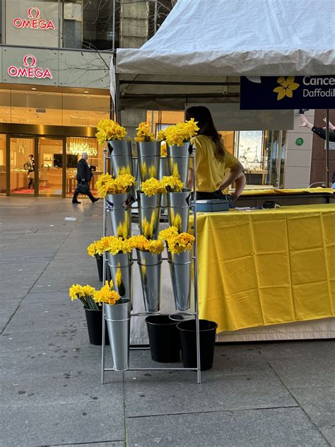 Thuvi Thava On Linkedin Daffodilday Cancercouncil Hope