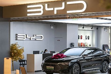 BYD Ya Tiene A Tres Estados En La Mira Para Instalar Una Planta En