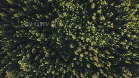 Environmental Investigation Agency Us On Linkedin Earthday