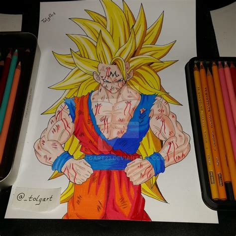 Majin Goku Ssj3 By Tolgart23 On Deviantart