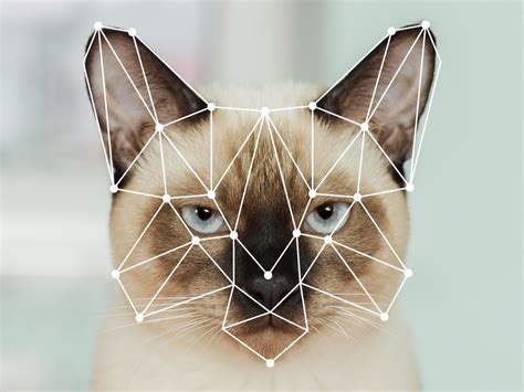 MCUs For AI ML Inferencing In Battery Operated Designs