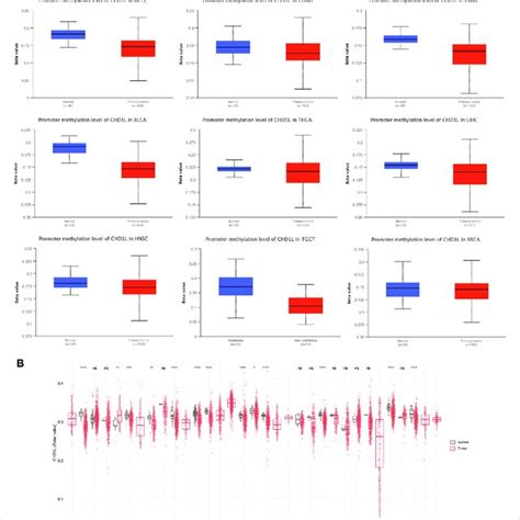 Differential Methylation Analysis Of CHD1L In Tumor Samples Versus