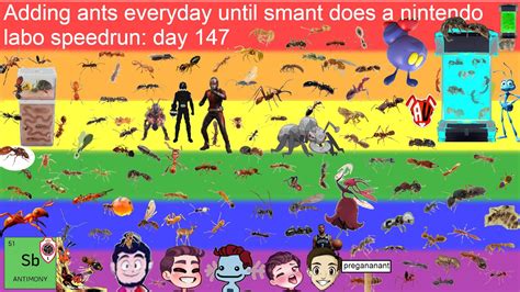 Day 147 The Carebara Lignata Scrolller