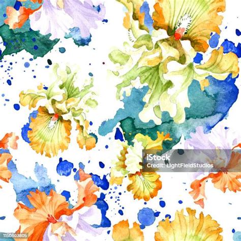오렌지 화이트 아이리스 꽃 식물 꽃입니다 수채화 배경 그림 집합입니다 완벽 한 배경 패턴입니다 0명에 대한 스톡 벡터 아트 및 기타 이미지 Istock