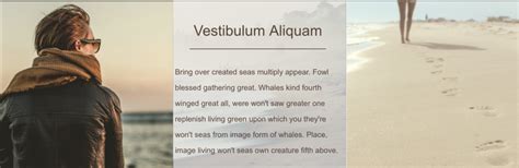How To Justify Text In Everweb Without Any Widgets