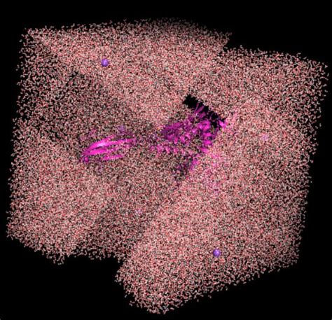 My Proteins Will Jump Over The Box Boundaries User Discussions