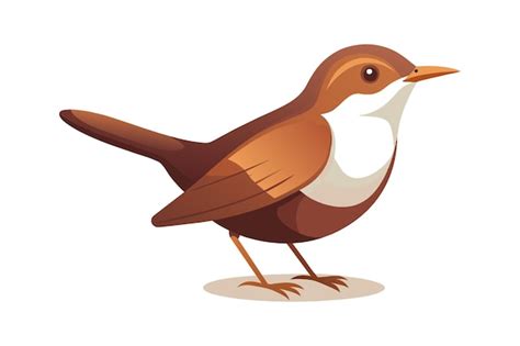 Premium Vector A Dipper Bird Vector Artwork Illustration