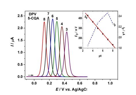 Dpvs Of 5·10 5 Mol L 1 Solution Of 5 Cqa In 01 Mol L 1 Pbs Of Download Scientific Diagram