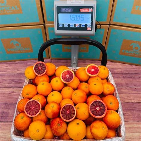 Blood Orange Box Large 16 Pounds Tropical Fruit Box