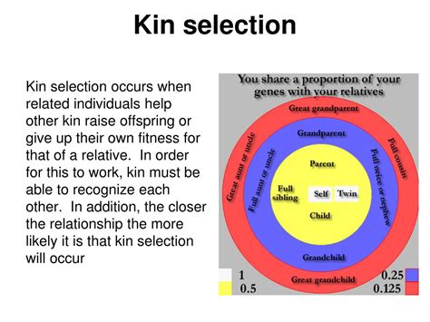 Ppt Biology 160 Final Exam Notes Powerpoint Presentation Free