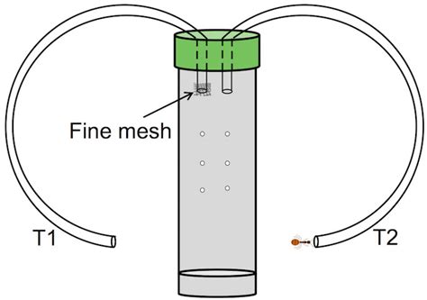 Schematic Drawing Of An Insect Aspirator Into A Lid That Seals A Vial