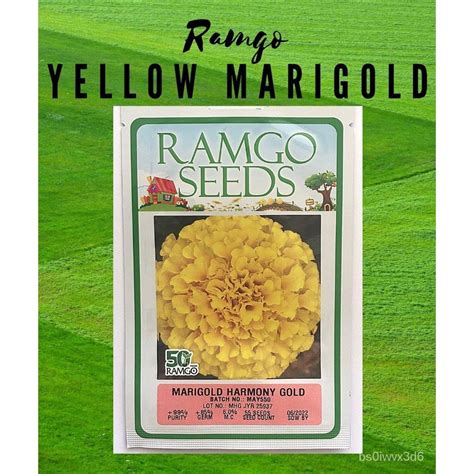 จุดประเทศไทย Ramgo Yellow Marigold Seedsเมล็ดอวบอ้วน 100 รอคอยที่จะให้