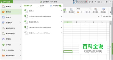 Wps菜单栏找不到开发工具怎么办？ 【百科全说】