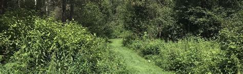 Hasse Lake 74 Reviews Map Alberta Canada Alltrails