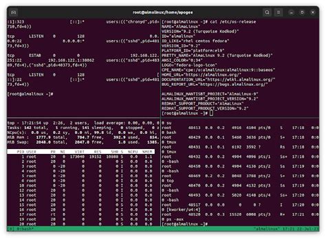 Installing Tmux On Almalinux 9 2 A Comprehensive Guide On Terminal Magic With Tmux