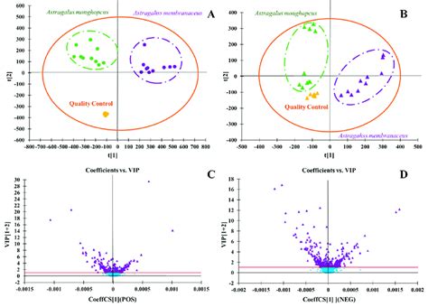 the analysis of mg and mj samples by uhplc esi q tof ms ms a the