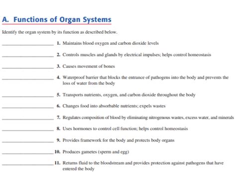 A Functions Of Organ Systems Identify The Studyx