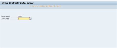 FNB1 SAP Tcode Transfer To A Loan