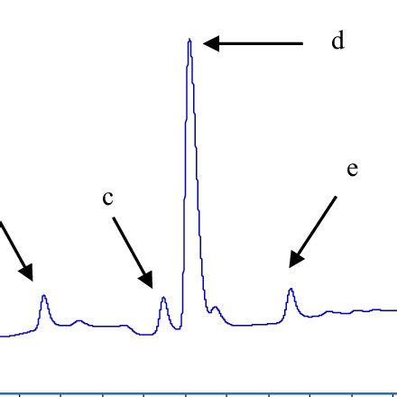 Chromatographic Profile At Nm Download Scientific Diagram