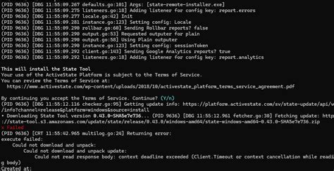 Cannot Run The State Remote Installerexe File After The Download Is Finished State Tool