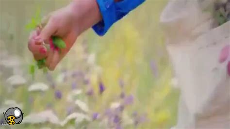 فیلم کوتاه عاشقانه جدید فیلو