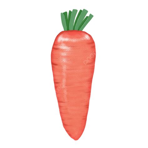 손으로 그린 귀여운 야채 당근 만화 작은 신선한 당근 Png 일러스트 및 Psd 이미지 무료 다운로드 Pngtree