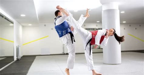 Taekwondo Black Belt Ranks Explained 1st Dan To 9th Dan