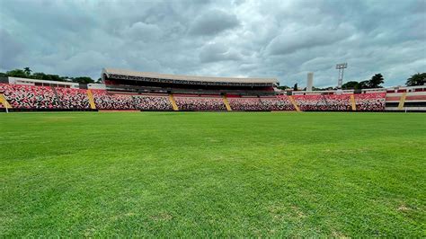 Botafogo Sp X Santos Onde Assistir Ao Vivo Horário E Escalações
